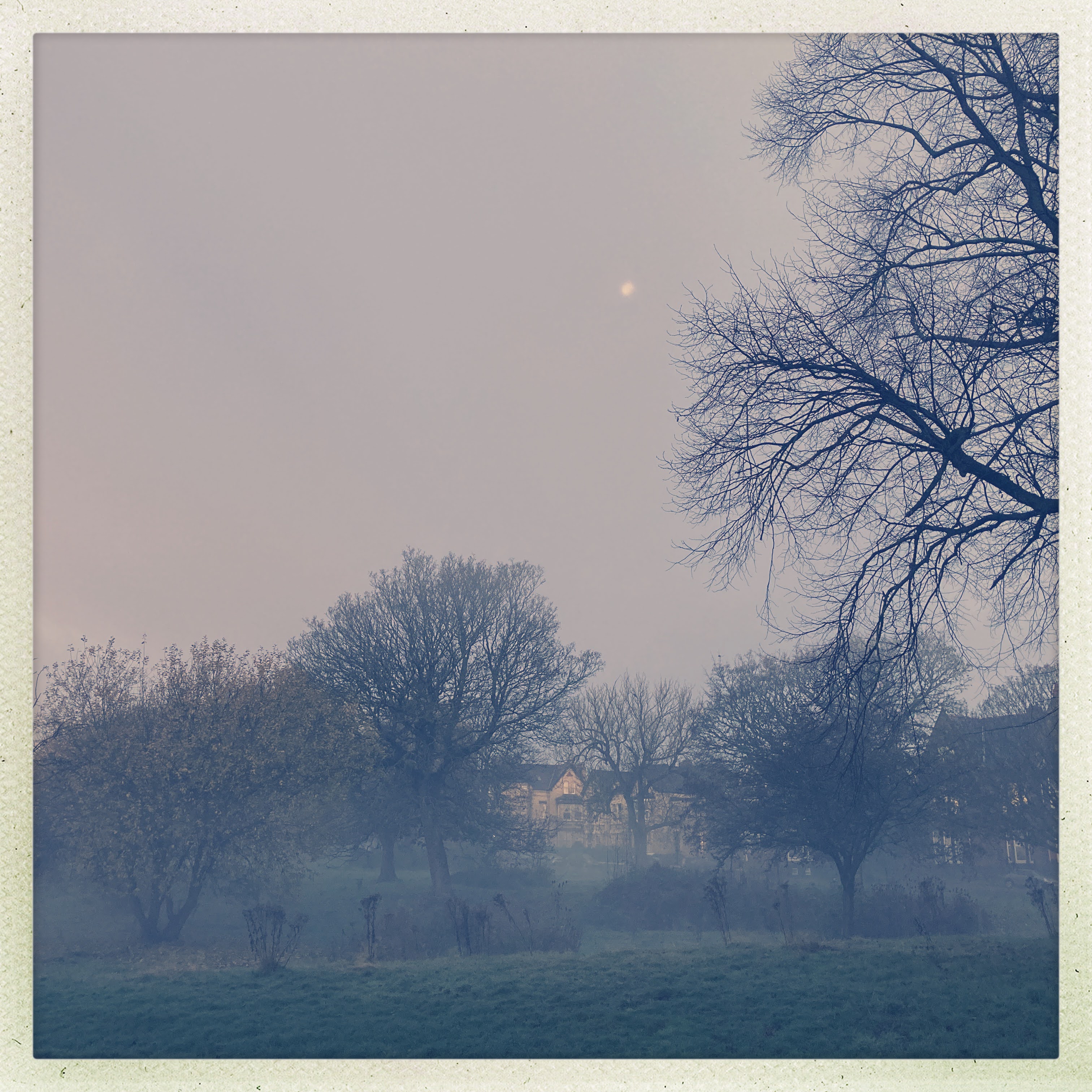 Loving a Cold Misty Morning - Alastair Johnston