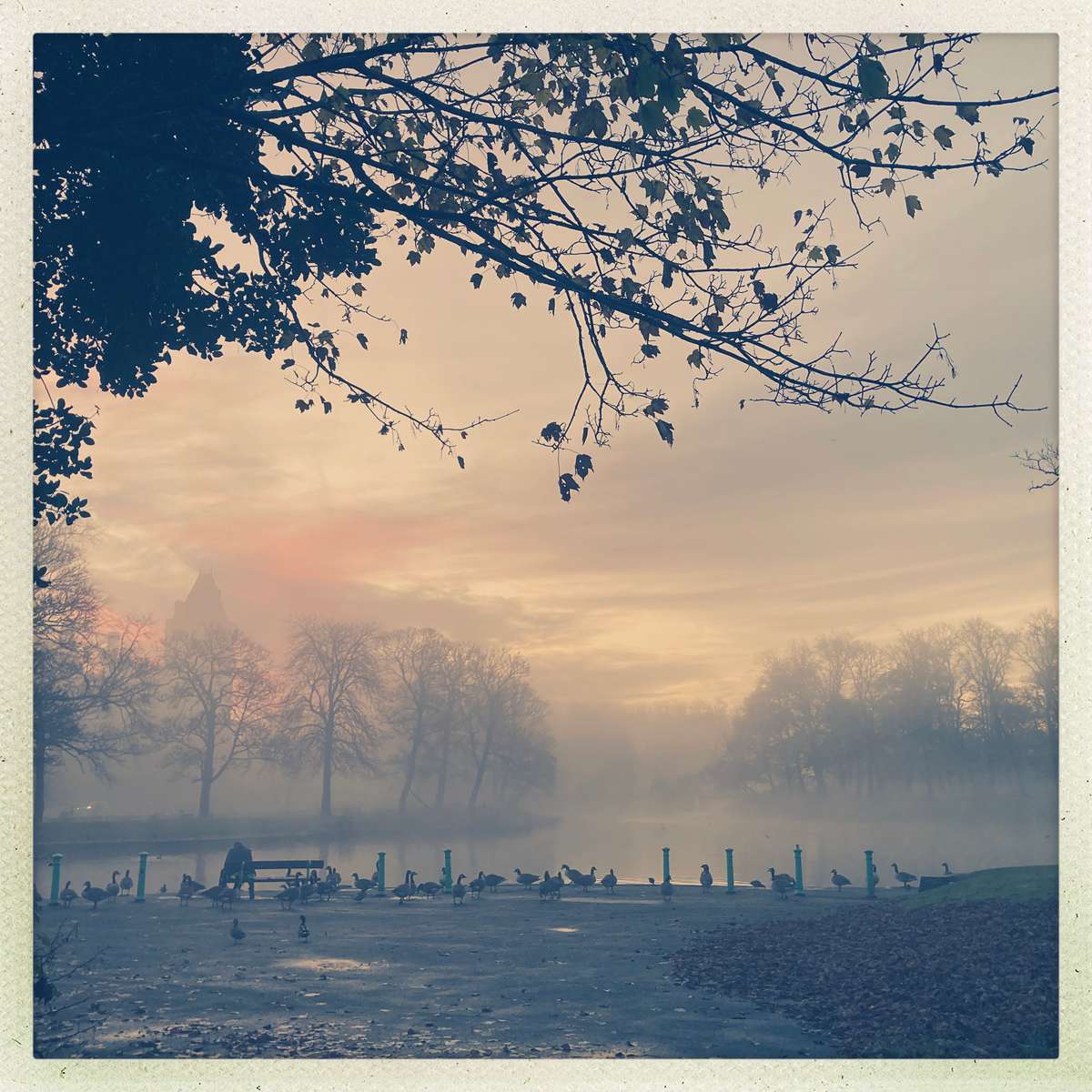 Loving a Cold Misty Morning - Alastair Johnston