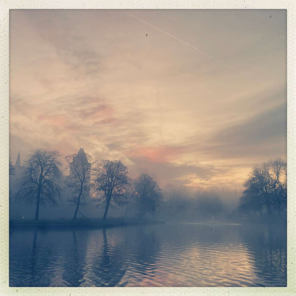 Loving a Cold Misty Morning - Alastair Johnston